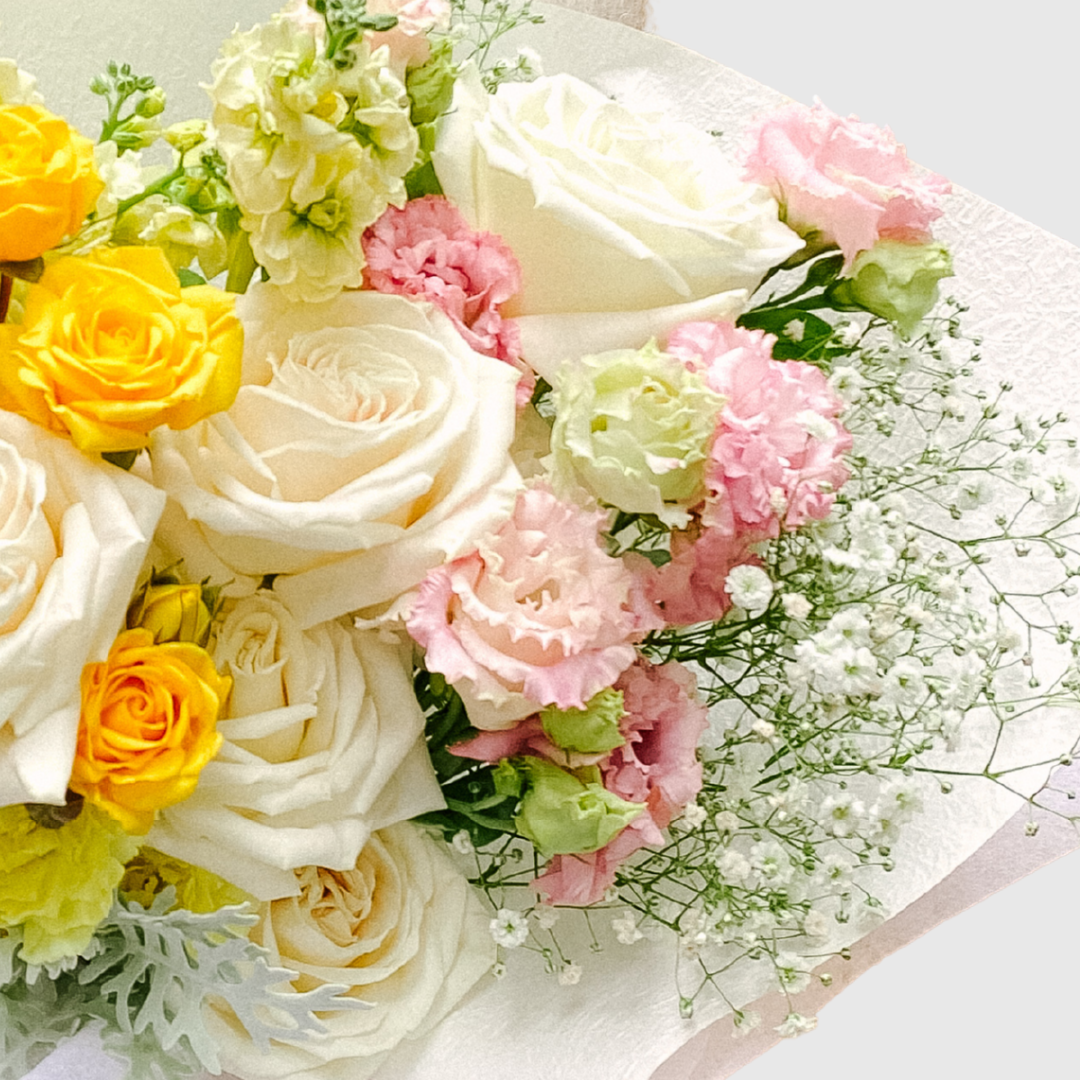 Bloom Theory - Little Bird Bloom